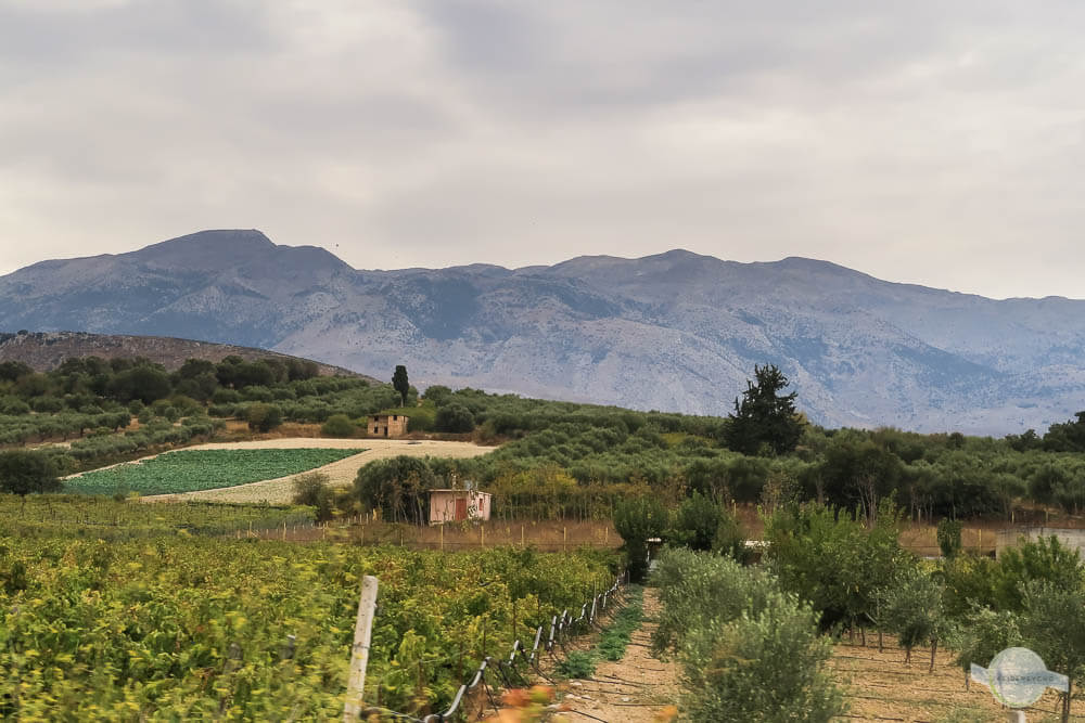 Psiloritis auf Kreta – einmal rund ums Ida-Gebirge