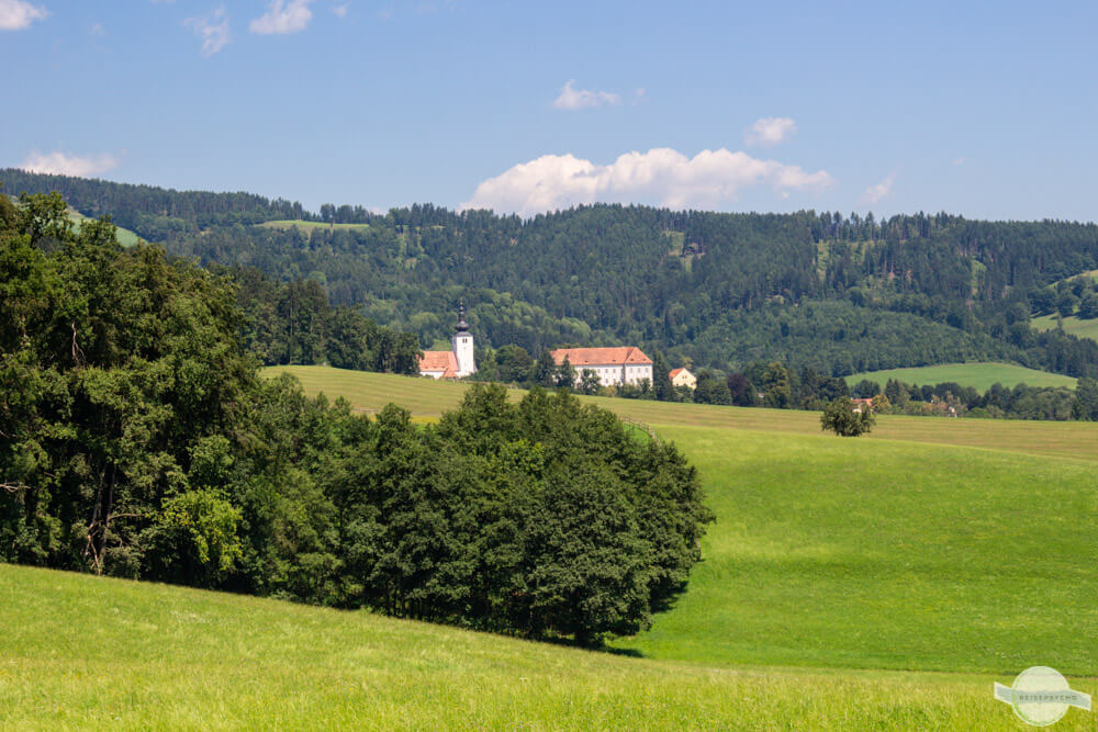 Tiere in der Steiermark – tierische Erlebnisse